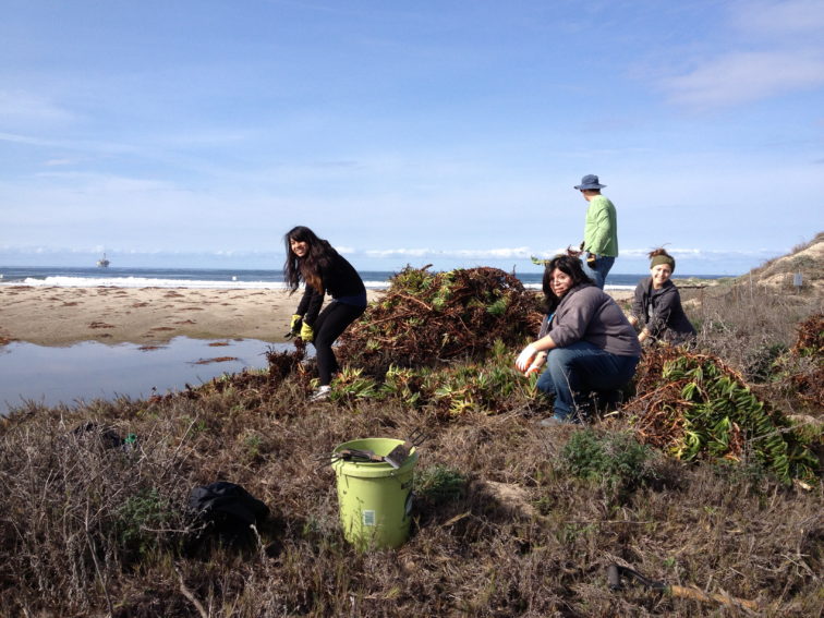 Devereux Slough Margin Enhancement - Southern California Wetlands ...